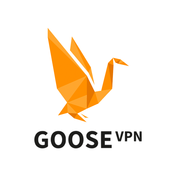Goose VPN Review 2023 | VPNveteran.com
